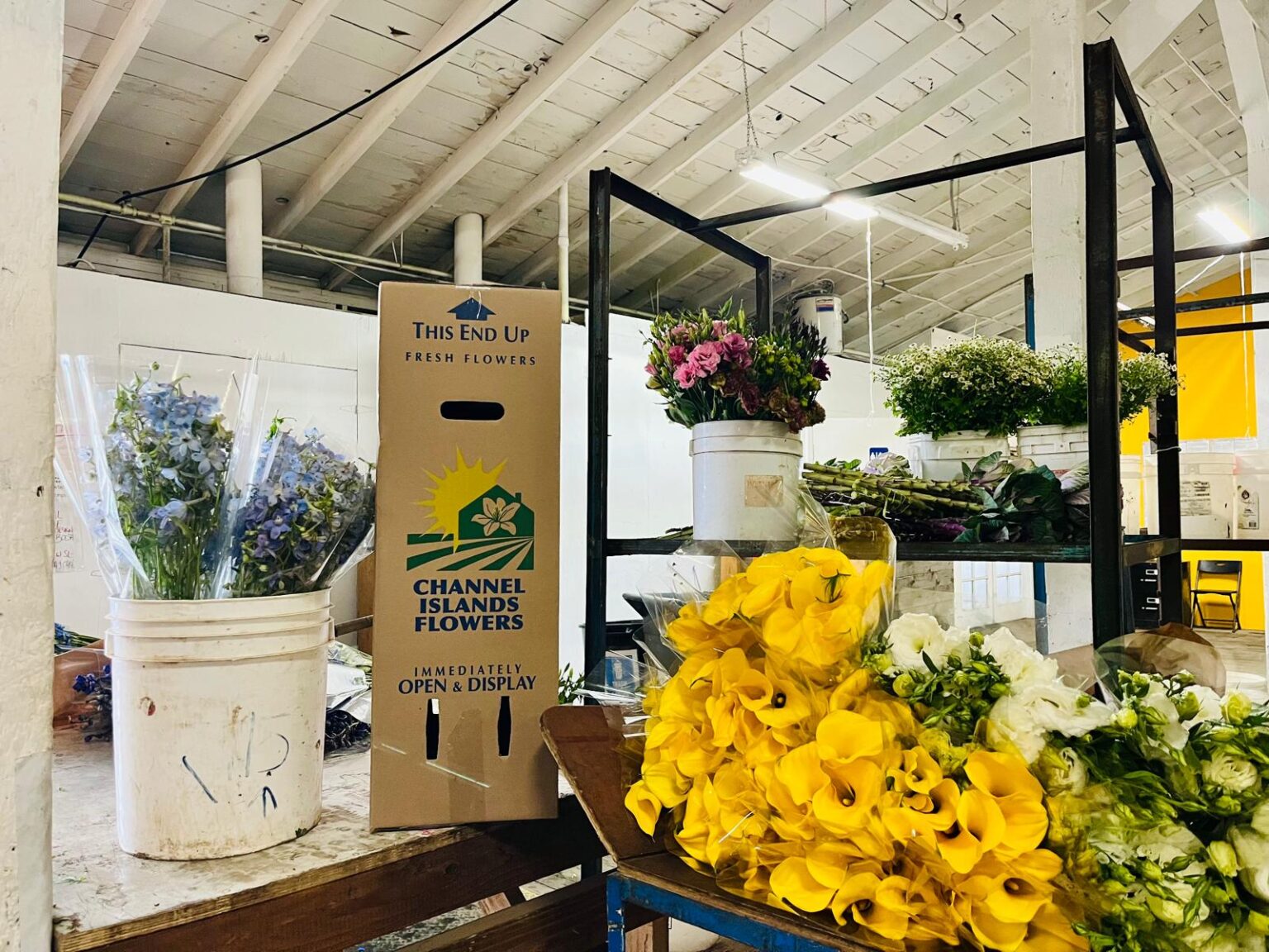 Our Story - Channel Islands Flowers